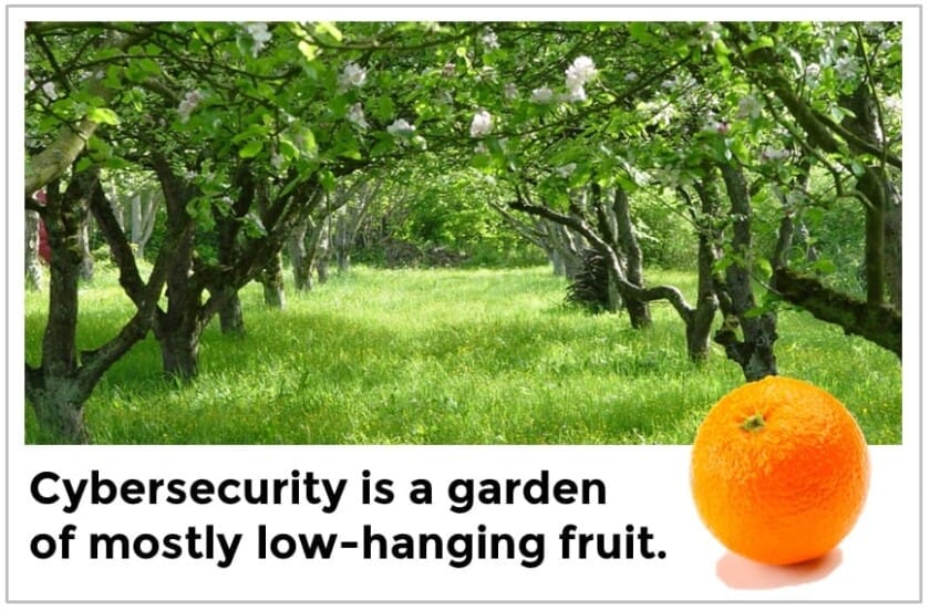 The Low Hanging Fruit of Data Security | Cybersecurity Training